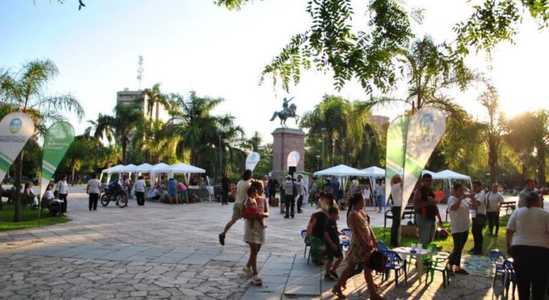 Espacios culturales de uso frecuente en la ciudad - Mercados Municipales